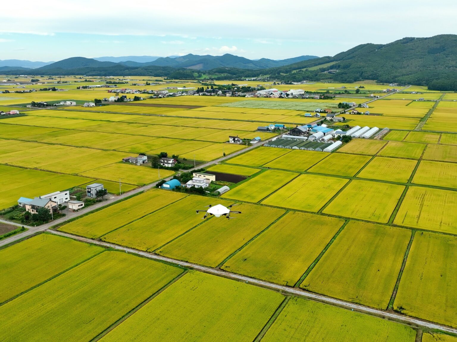 Toward Solving the Problem of People with Difficulties in Shopping for ...